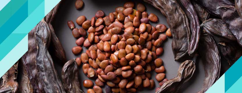 What is Carob (Harnup)?