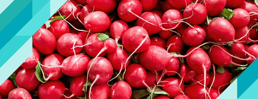 Turpun Faydaları Nelerdir? | NPİSTANBUL