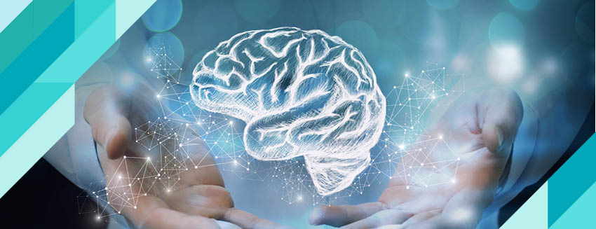 How Does Our Brain Work?