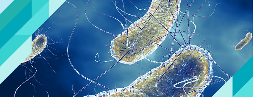 Dizanteri Nedir? Nasıl Geçer?